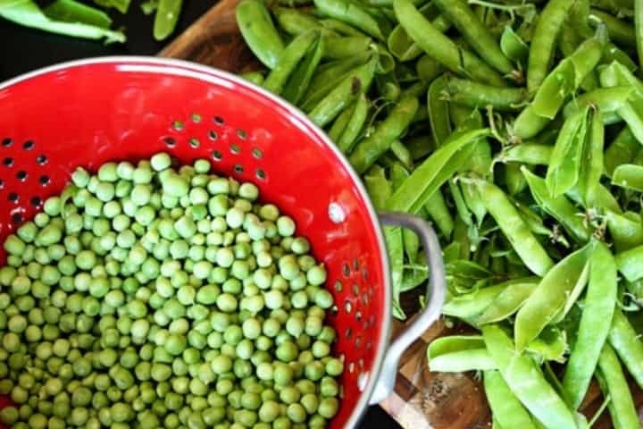 Simple Fresh Buttered Peas (English Peas Recipe)