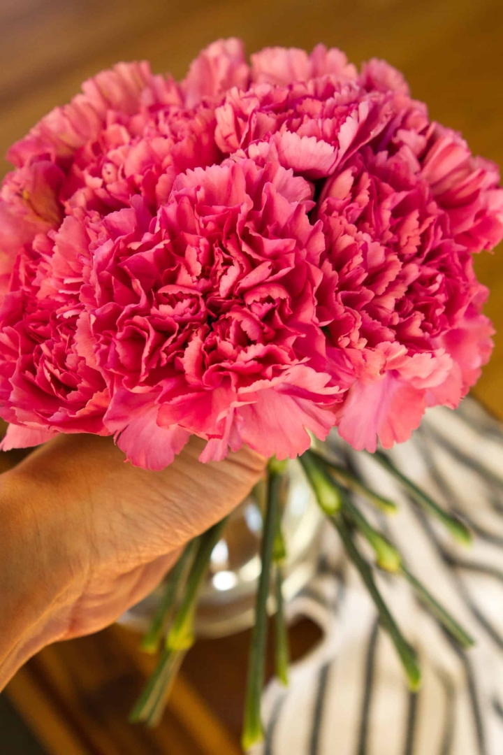 Simple Carnation Flower Arrangement (But Stunning!)
