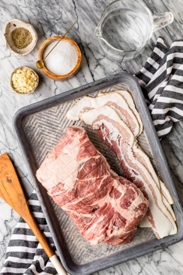 3-Ingredient Basic Instant Pot Pulled Pork (No BBQ Sauce!)